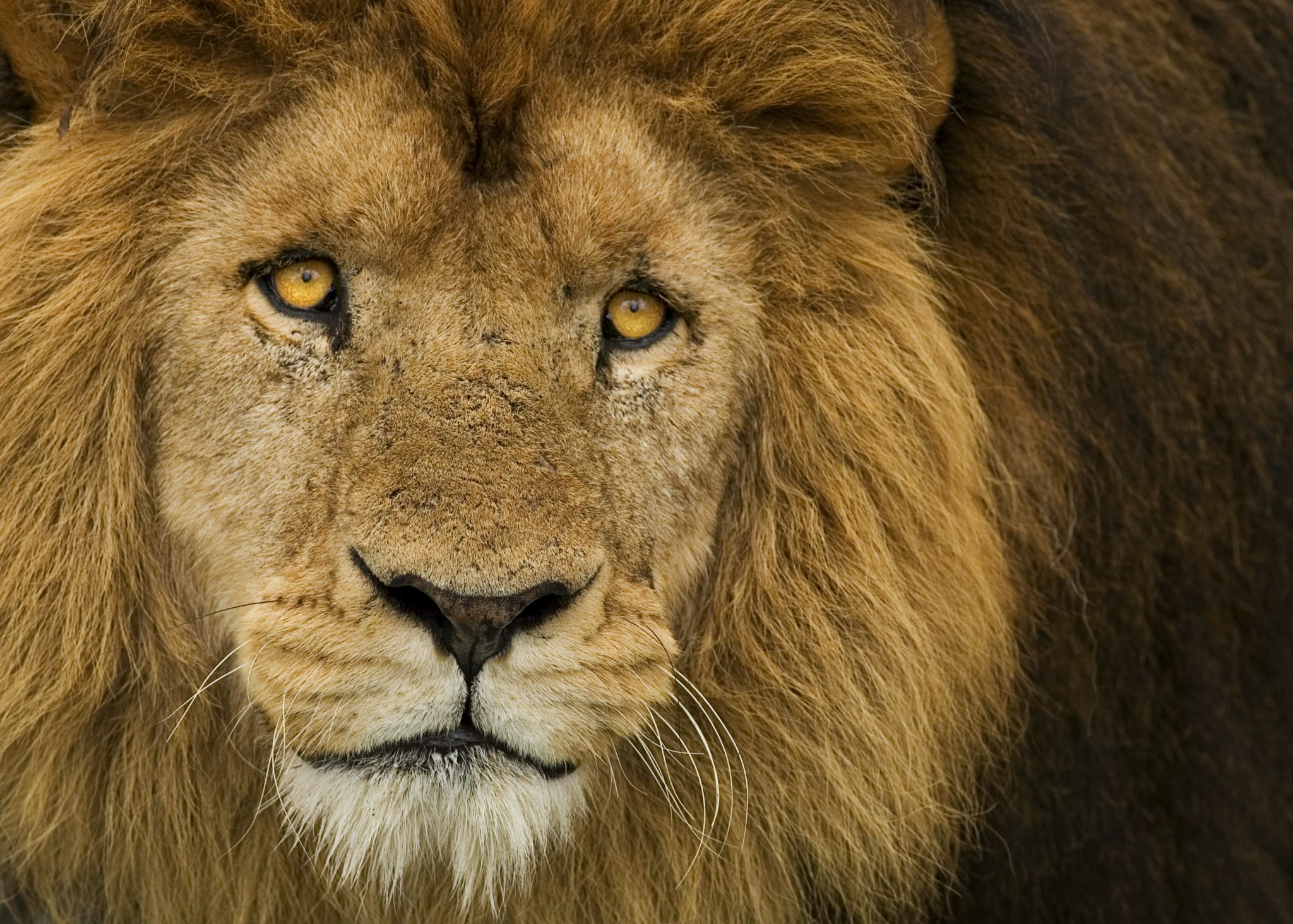 Accueil - Thoiry Zoo Safari