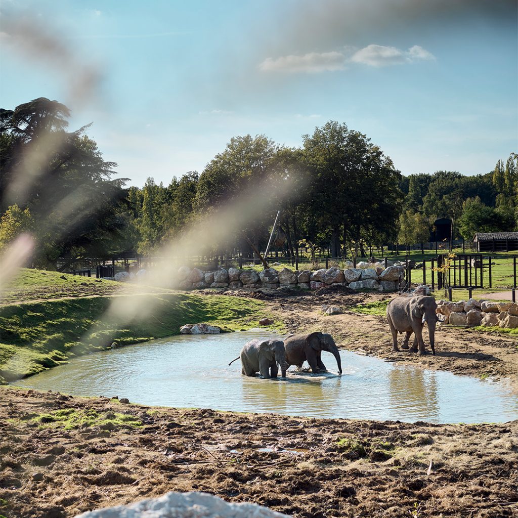 Lodges Terres d'Afrique - Wow Safari Thoiry