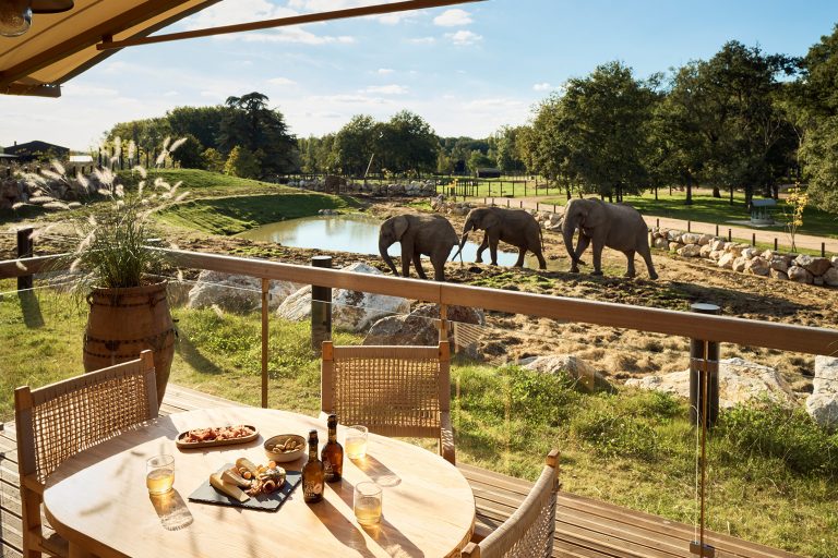 Lodge Studio - Wow Safari Thoiry
